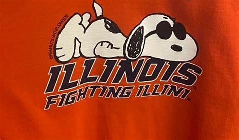 54 Uiuc Ideas In 2025 Dorm Room Designs Dorm Room Inspiration Dorm Room Layouts