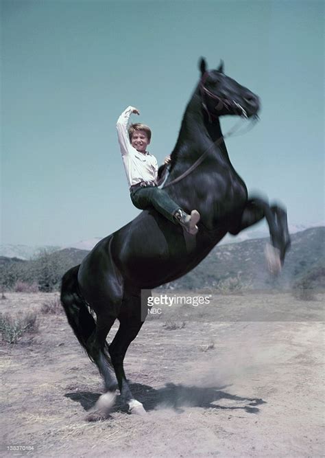 Pictures Of Bobby Diamond