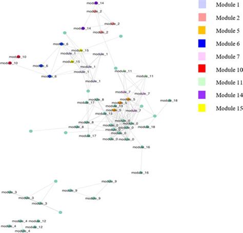 Full Article Network Based Gut Microbiome Analysis In Dogs