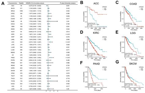 Exploring The Prognostic Value And Immune Infiltration Patterns Of