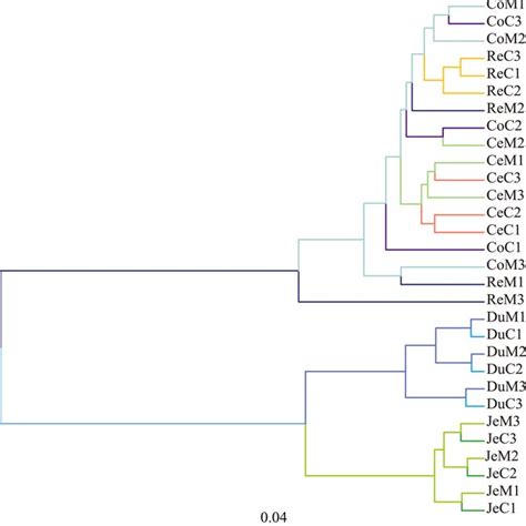 The Unweighted Pair‐group Method With Arithmetic Means Upgma