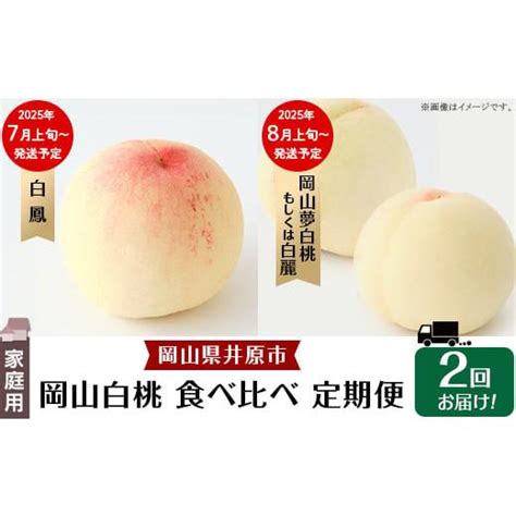 ふるさと納税 岡山県 井原市 岡山白桃 食べ比べ定期便（年2回） 6021465ふるさとチョイス 通販 Yahooショッピング