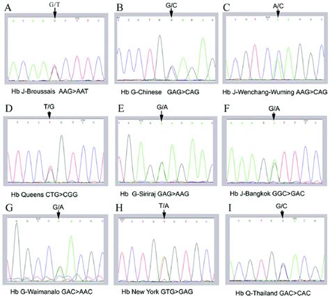 Dna Sequence Of 9 Kinds Of Hemoglobin Variants A Hb J Broussais Download Scientific Diagram