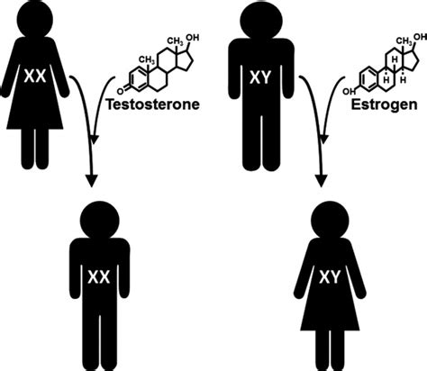 Individualized Medicine Sex Hormones Genetics And Adverse Drug Reactions Pmc