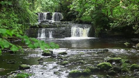 Forest Nature Sounds Relaxing Waterfall Birds Chirping Sleeping Sound