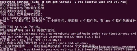 Ros问题及解决方案——依赖包安装以及无法修正错误 阿里云开发者社区