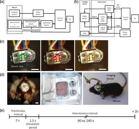 Modular Head Mounted Cortical Imaging Device For Chronic Monitoring Of Intrinsic Signals In Mice