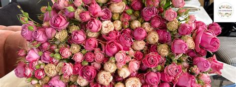 Myaso And Myaso Добрый вечер четверга ⠀ Вы должны любить то что едите или любить человека