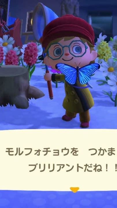 【あつ森】冬の夜のきれいなモルフォチョウ【あつまれどうぶつの森】 Youtube