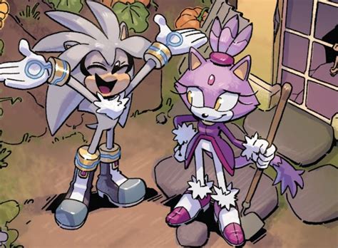 Silvaze Appreciation Post Fandom
