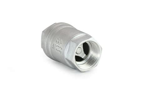 Lintas Group Stainless Steel Multi Utility Check Valve Screwed Ends