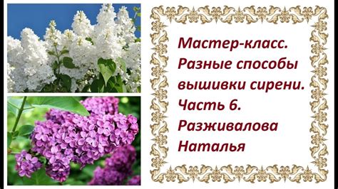 МК. Разные способы вышивки сирени. Часть 6. Объемная двухслойная сирень ...