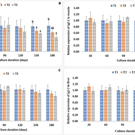 Relative Expression Of Hepatic Igf 1 A Muscle Derived Igf 1 B Download Scientific Diagram