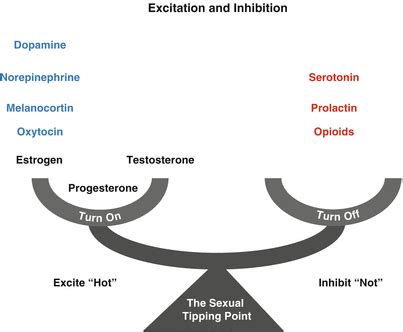 The Female Sexual Response Anatomy And Physiology Of Sexual Desire Arousal And Orgasm In