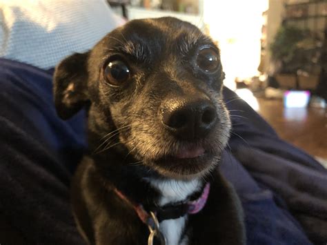 First Blop Caught On Camera R Blop