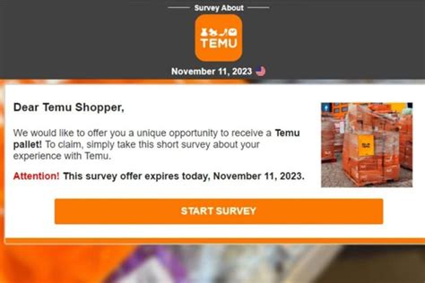 ¿vale La Pena Comprar En Temu Ventajas Y Desventajas Que Trae La