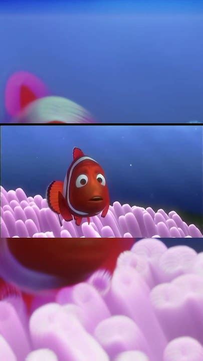 Siapa Ayah Nemo Shortsfeed Shortsyoutube Shortvideo Spongebob Faktaunik Faktamenarik