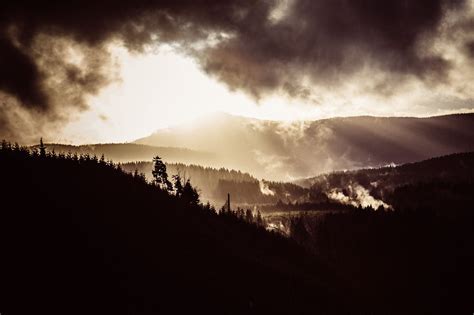 森林 山 草 Pixabay上的免费照片 Pixabay