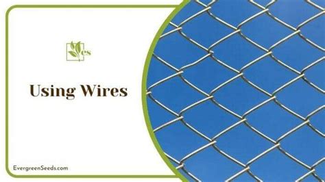 17 Vinyl Fence Gap Filler Ideas For Aesthetic Fencing Evergreen Seeds