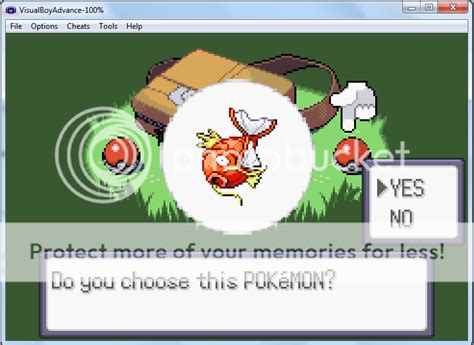 Challenge Accepted It Seems R Pokemon