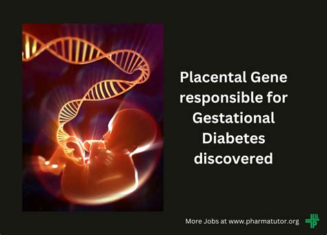 Placental Gene Responsible For Gestational Diabetes Discovered
