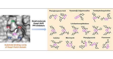 Medicinal Chemistry Insights Into The Development Of Small Molecule