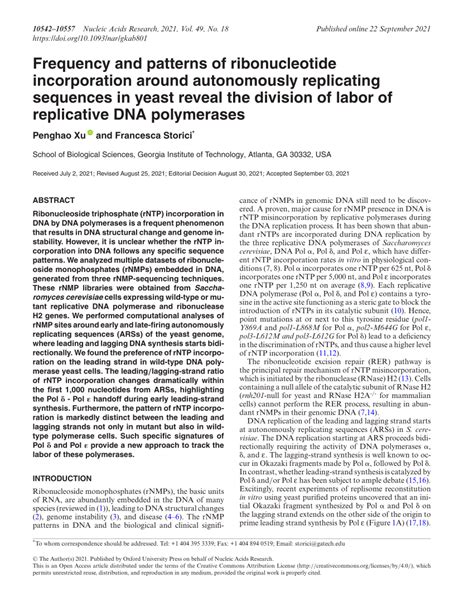 Pdf Frequency And Patterns Of Ribonucleotide Incorporation Around Autonomously Replicating