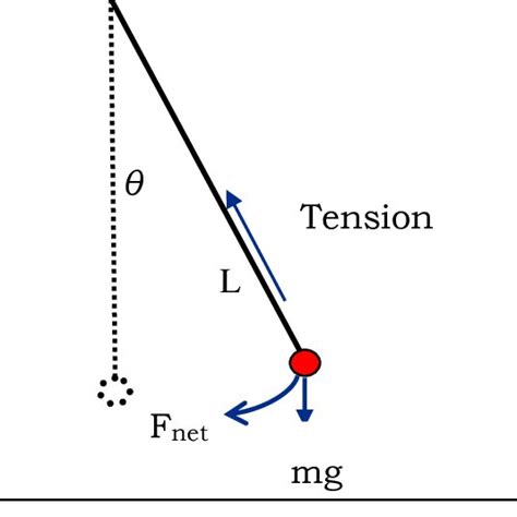 Colour Online A Simple Pendulum Of A Bob Of Mass M Suspended From A