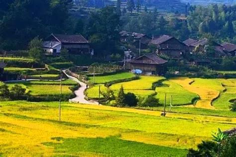 旅遊圖集欣賞十月鄉村秋天風景 每日頭條