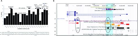 two distal regions of high sequence conservation have no discernible