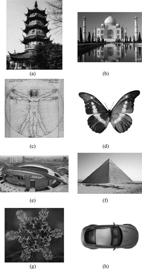 Examples Of Symmetry Objects A Chinese Tower B Taj Mahal C Download Scientific Diagram