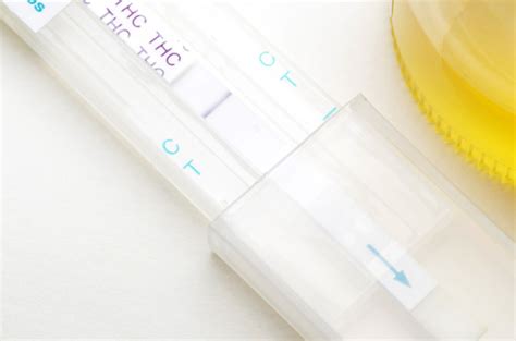 Understanding False Positives In Drug Tests Causes Implications And