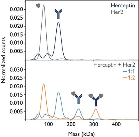 Mass Photometry Antibody Characterization Refeyn