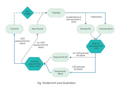 Tendermint The Consensus Engine Powering Next Gen Blockchains HeLa