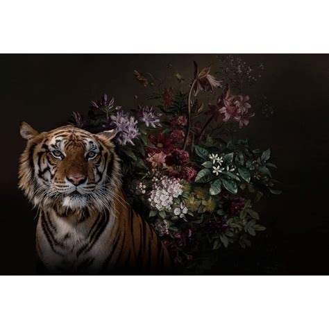 Livingwalls Fototapete Walls By Patel Wildlife 1 Wall Art De