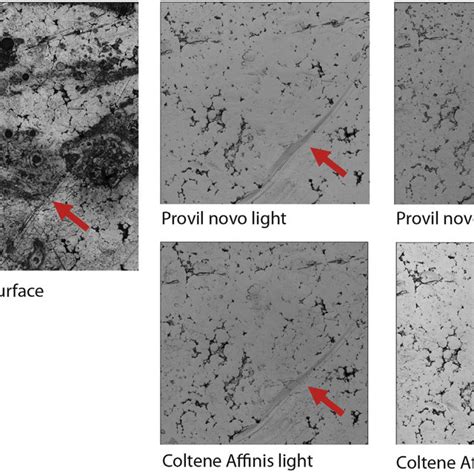Box Plot Showing The Mean Median And Variance Of The Four Molding Download Scientific Diagram