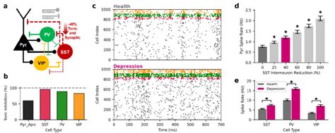 Increased Baseline Activity Noise In Depression Microcircuit Models Download Scientific