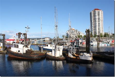 Nanaimo Dozer Boats Katherine Bickford