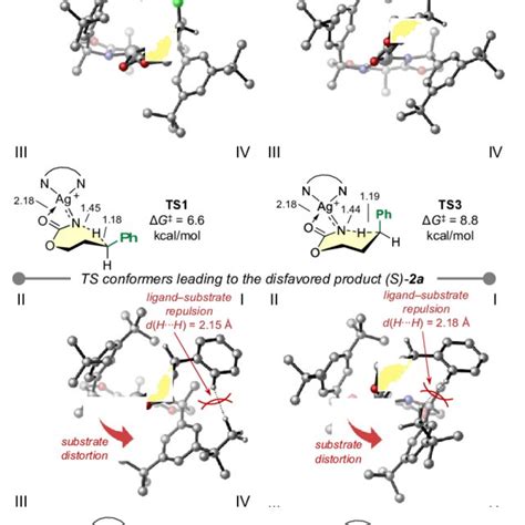 C−h Insertion Transition State Structures Of The Asymmetric Nt Of