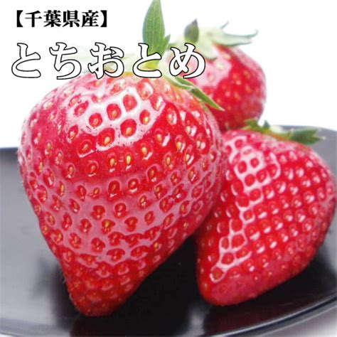 いっぴん 【いっぴん】千葉県産 とちおとめ
