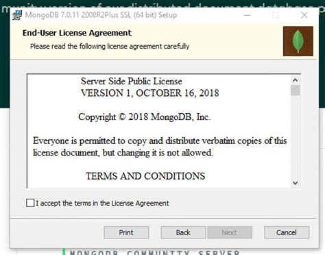 How To Set Up Mongodb On Windows Kamatera
