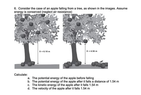 Solved 6 Consider The Case Of An Apple Falling From A Tree Chegg