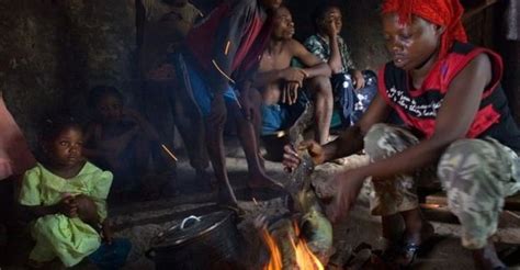 5 Graves Epidemias Causadas Por Virus Que Saltaron De Animales A