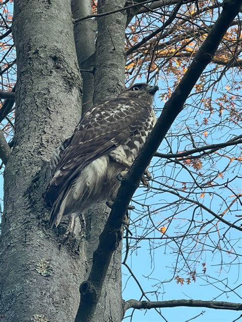 How Difficult Is Phy 132 Compared To Phy 131 Rsbu How Difficult Is Phy 132 Compared To Phy 131 Rsbu