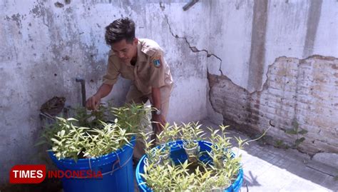 Guru SDN Mojokrapak 1 Manfaatkan Lahan Sempit Sekitar Sekolah untuk Bercocok Tanam - TIMES Indonesia