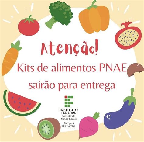 Campus Rio Pomba Inicia Distribuição Dos Kits De Alimentos Do Pnae — If