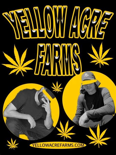 The Now And Future Of Yellow Acres Farm Texas Hemp Reporter