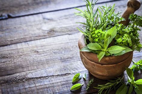 Taking Care Of Our Lungs With Medicinal Plants Dr Farrah Bunch Shop