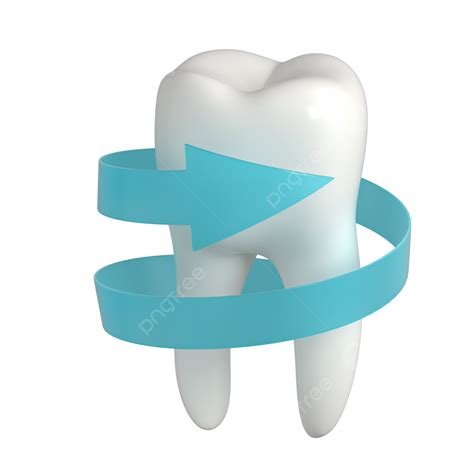 3차원 3차원 치아 모델 3d C4d 입체 Png 일러스트 및 이미지 에 대한 무료 다운로드 Pngtree