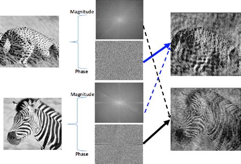 Phase Stretch Transform Semantic Scholar